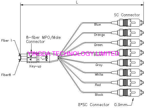 SC Hydra 12 Strand Fiber Cable Assembly / MTP MPO Patch Cord For FTTX