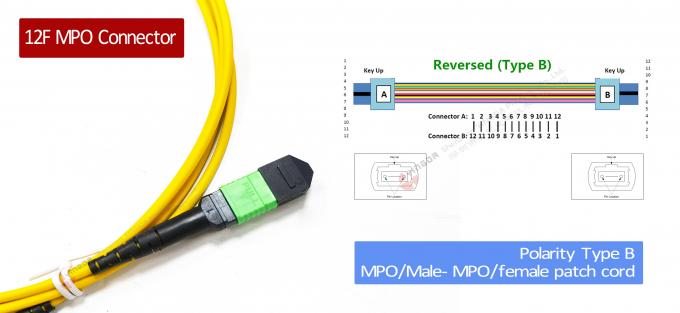 12 cores Fiber optic MPO Famle to Male patch cord truck cable