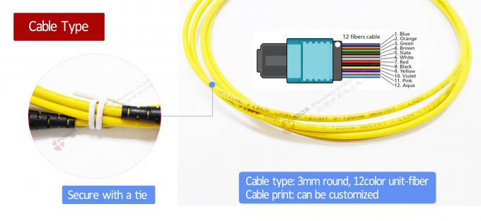 12 cores Fiber optic MPO Famle to Male patch cord truck cable