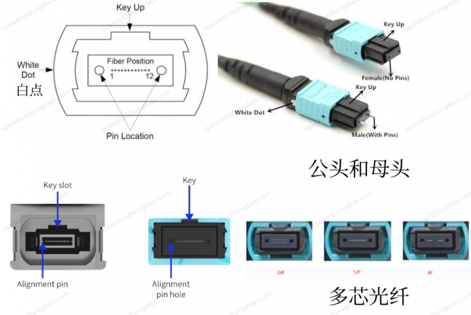 What's Multi-fiber Push On (MPO) Connectors?