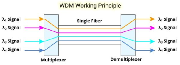 CWDM vs DWDM: what are they? and what's the difference?