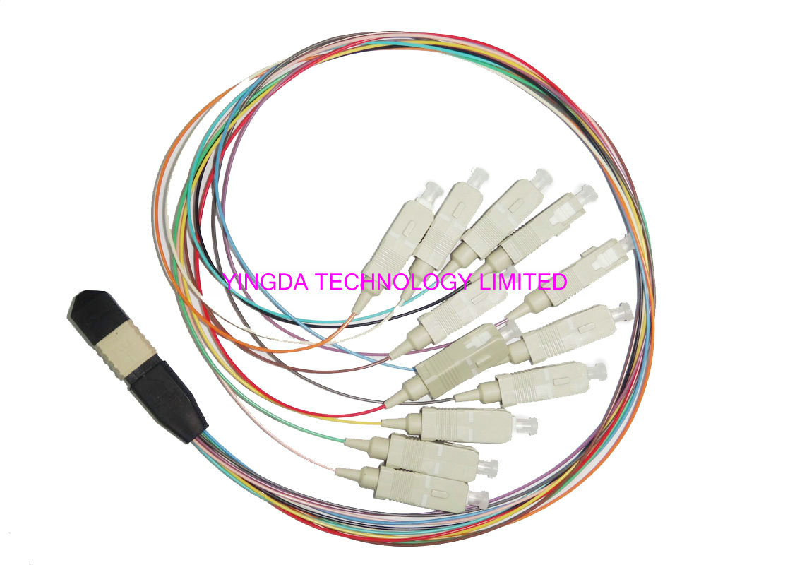 SC Hydra 12 Strand Fiber Cable Assembly / MTP MPO Patch Cord For FTTX